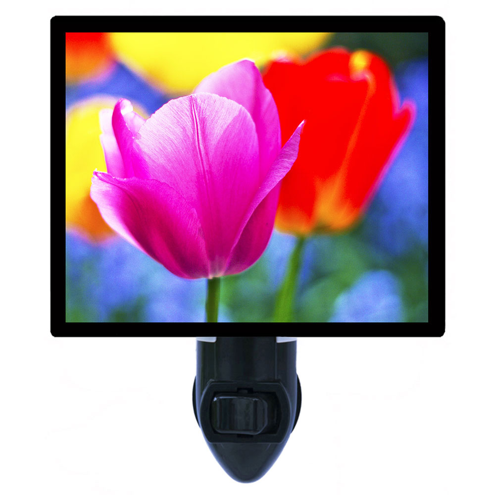 Spring Has Sprung - Night Light Designs