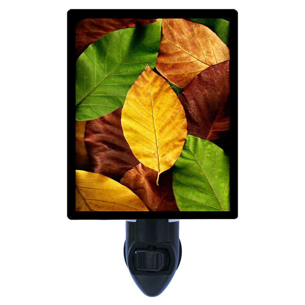 Organics - Fall Leaves - Night Light Designs