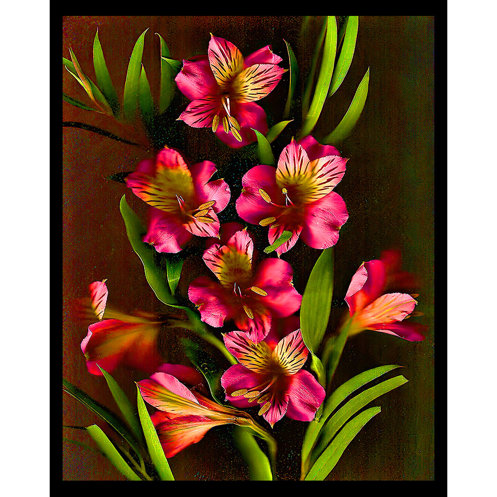 Organics - Garden Flowers - Night Light Designs